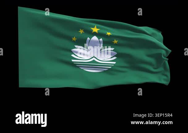 Professional animation of the Macau flag waving in the wind with green ...