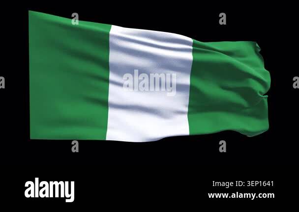 Professional animation of the Nigeria flag waving in the wind, ideal ...