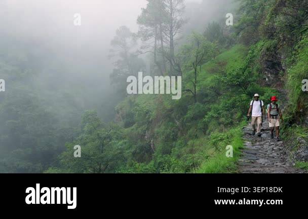 Two trekkers navigate a foggy trail surrounded by lush green forests ...