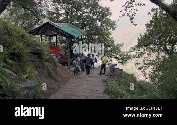 Group of hikers on a scenic trail surrounded by lush forests with the ...
