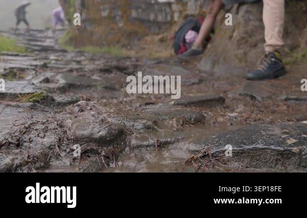 A lone trekker navigates a muddy, forested path in the Garhwal ...