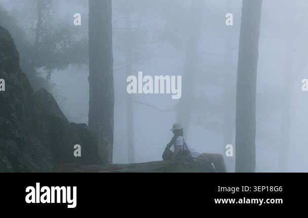 Aerial view of dense forests and misty cliffs with a powerful waterfall ...