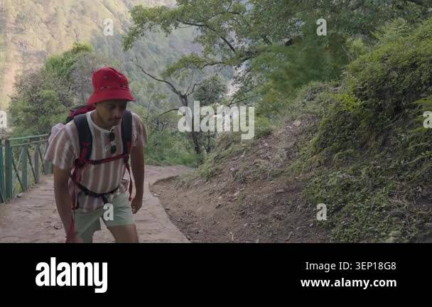 A lone trekker walks along a misty forest trail surrounded by lush ...