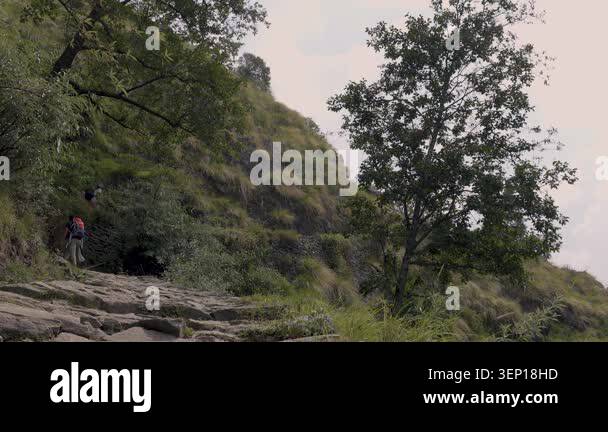 Two hikers navigating a rugged trail surrounded by lush forests with ...