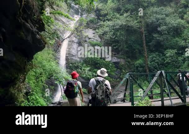 Group of hikers navigating a lush green forest trail with misty ...