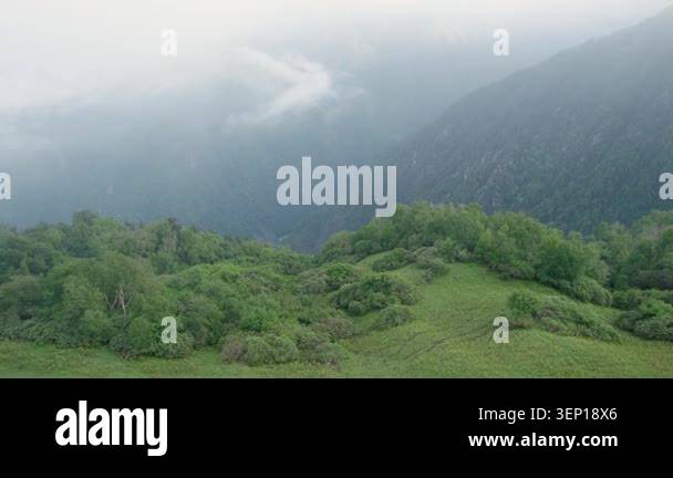 Scenic aerial view of rolling green meadows and dense forests on a ...