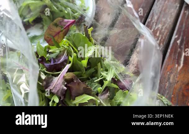 Female hands serving fresh washed salad from plastic package onto ...