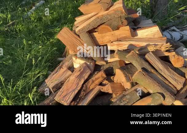 Split wooden logs stacked on green grass for campfire, barbecue ...