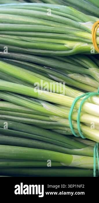 Bright spring onions bundled together with elastic bands on bazaar ...