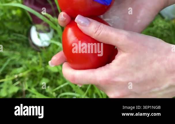 Clean fresh vegetables and healthy outdoor cooking atmosphere with ...