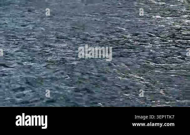 Real Time of Lake Geneva Water Surface with Small Waves and Ripples in ...