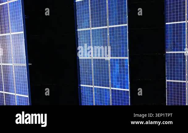 Direct top down structure of silicon blue plates separated by dark ...