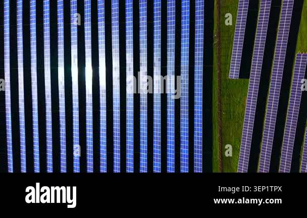 Overhead drone shot of photovoltaic modules field with bright sun glint ...