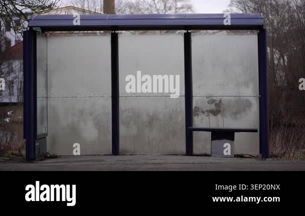 Empty bus stop with transparent panels in overcast weather Stock Video ...