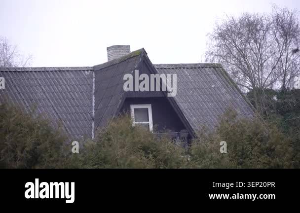 House roof with tiles surrounded by trees in calm setting Stock Video ...