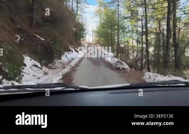 mountain road journey through scenic forest road through pine trees in ...