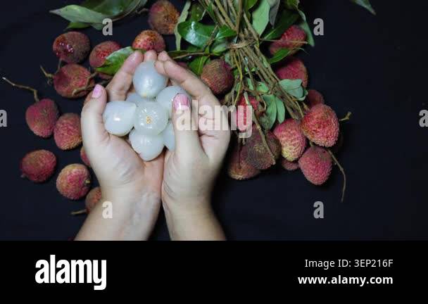fresh peeled lychees in hands surrounded by ripe tropical fruit ...