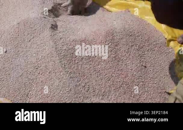 Agricultural Nitrogen, Phosphorus, and Potassium mineral fertilizer ...