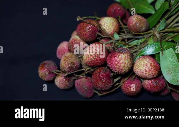 hands selecting fresh lychee fruit from harvested bunch at indoor Stock ...