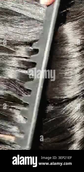 Close-up macro view of shiny, healthy dark hair texture reflecting ...