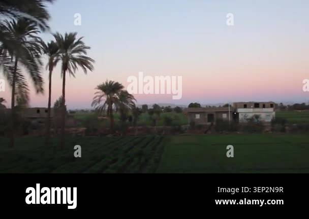Lush fields along river Nile in Egypt viewed from a train Stock Video ...