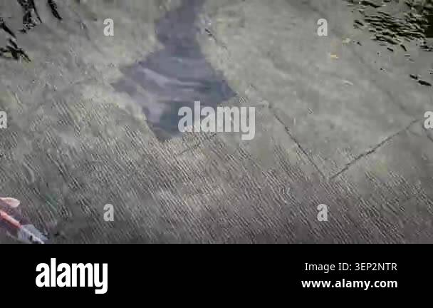 Koi fish swim happily and gracefully in the clear ceramic stone pool ...