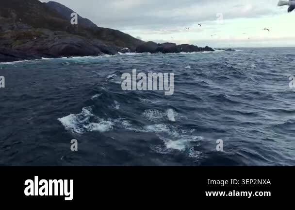 High-angle coastal scene showing a solitary swimmer battling choppy ...