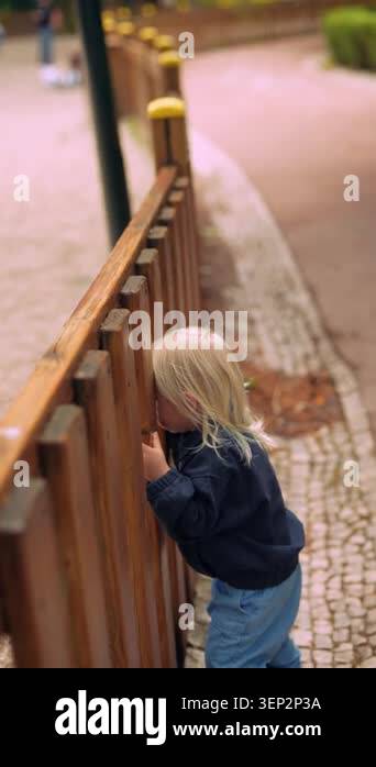 Curious white toddler peeking through fence, blonde child in denim ...