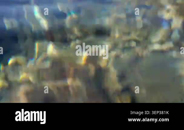Underwater plants and algae growing on rocks near sea surface, few fish ...