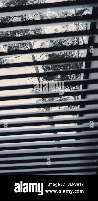 Vertical video. Modern architecture interior with stylish slatted ...