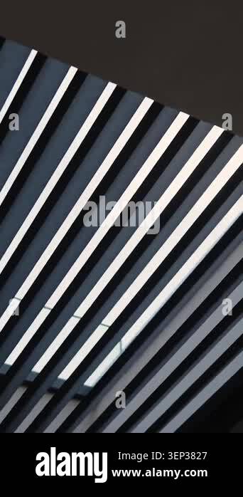 Vertical video. Modern architecture slatted roof design with natural ...