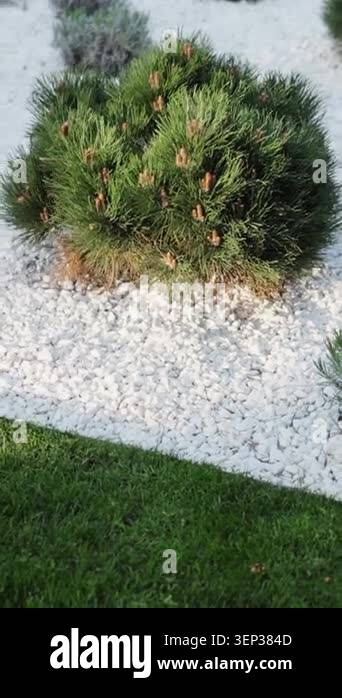 Vertical video. Landscape design featuring a blend of clean gravel ...