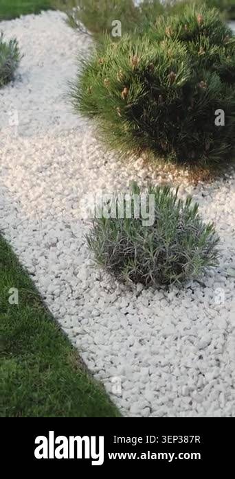 Vertical video. Minimalist garden landscape near house with white ...
