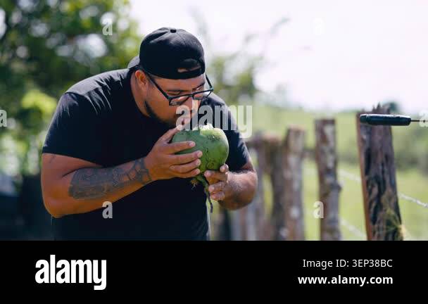 Thirsty man with tattoos and glasses drinking fresh green coconut water ...