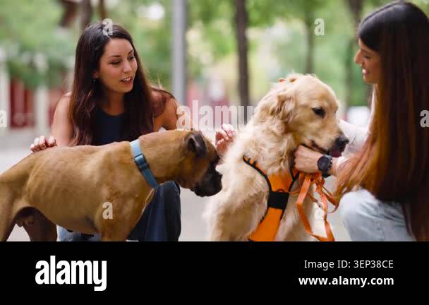 Happy female friends interacting and caressing their adorable dogs, a ...