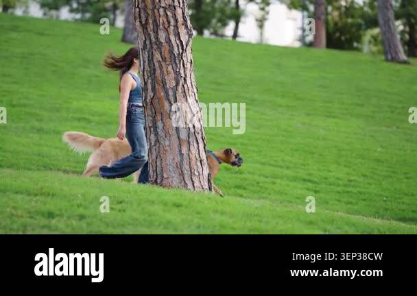 Two female friends enjoying a walk with their golden retriever and ...