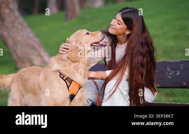 Loving golden retriever dog licking its smiling female owners face ...