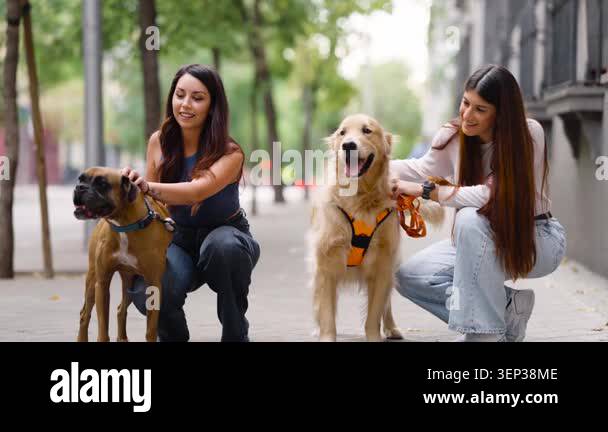 Two smiling young women crouching down to caress their beloved boxer ...