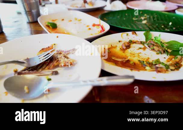 Empty white and green dinner plates with sauce stains and food scraps ...