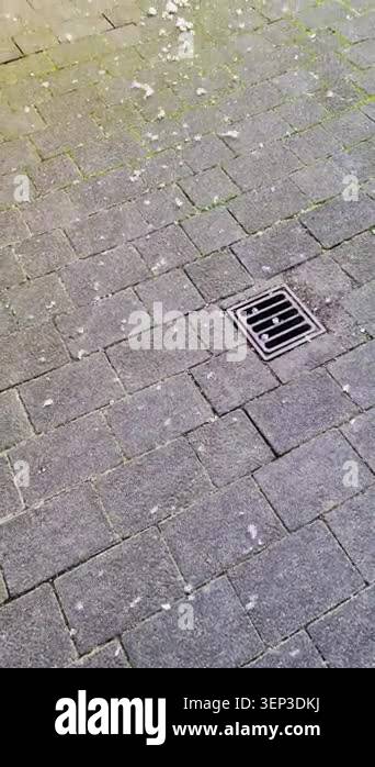 First snow of the season melting on a cobblestone pavement with a drain ...