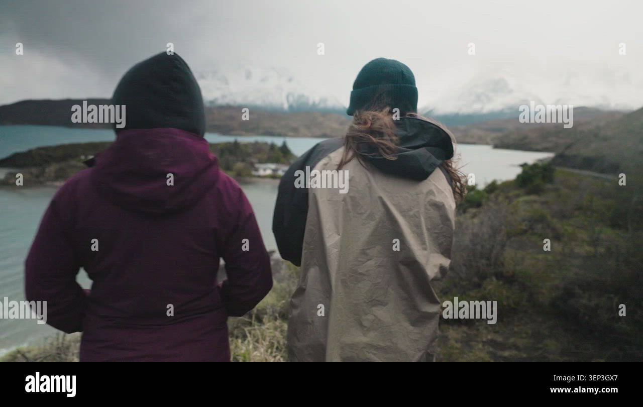 Friends admire cloudy lake landscape in Torres del Paine Stock Video ...