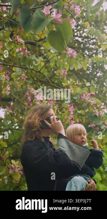 White mother on phone holding toddler under pink blossoms in park ...