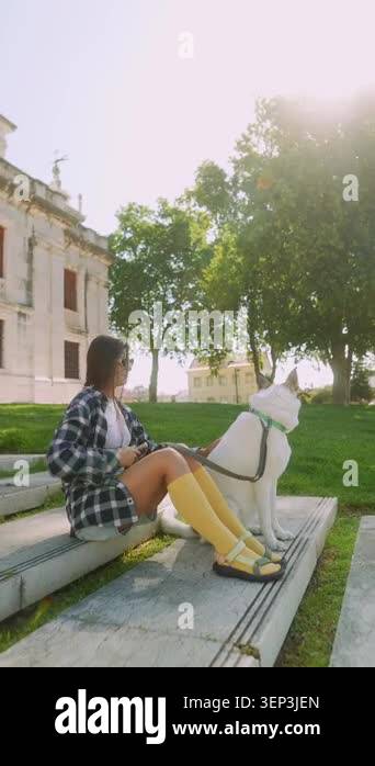 A woman sits beside a white dog on a bench in a sunny urban park ...
