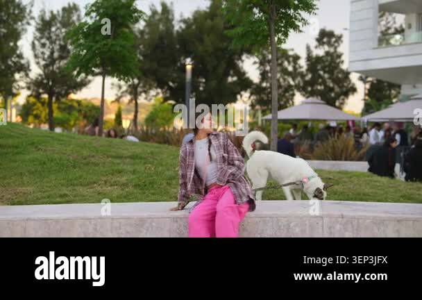 A young woman sits on a low wall in a green park beside a white dog ...