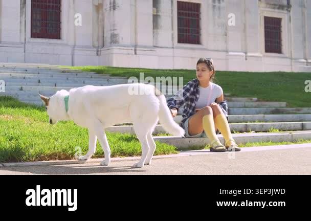 A large white dog walks near a woman sitting on outdoor steps beside ...