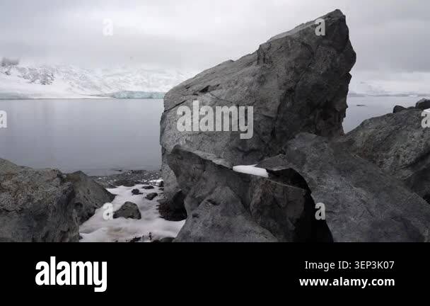 Antarctic expedition. Exploration of a rocky shoreline in a glacial ...