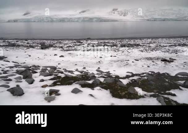 Antarctic expedition. winter landscape at the frozen shoreline with ...