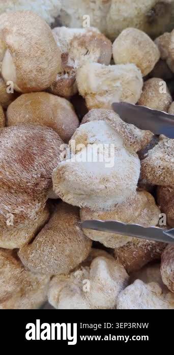Dried Lions Mane Mushroom Close-Up Stock Video Footage - Alamy