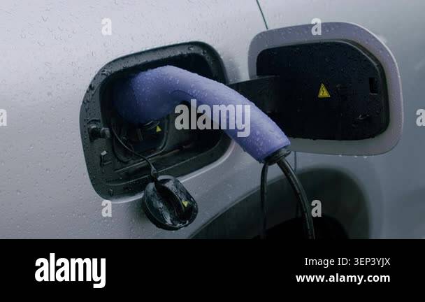 Close-up view of a purple charging cable plugged into an electric ...