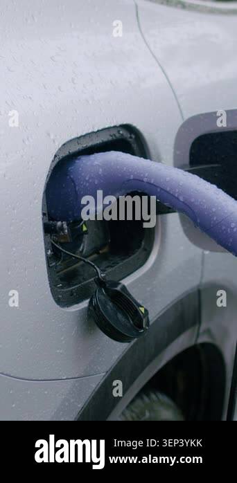 Electric vehicle charging with a purple cable connected to the charging ...